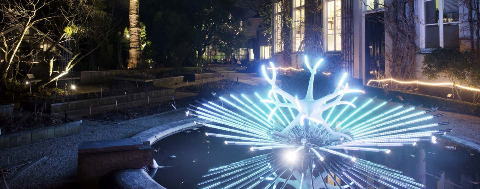 Flower of the Universe- Titia Ex